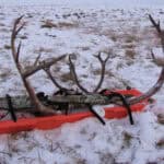 Paris Pulk – SkiPulk.com